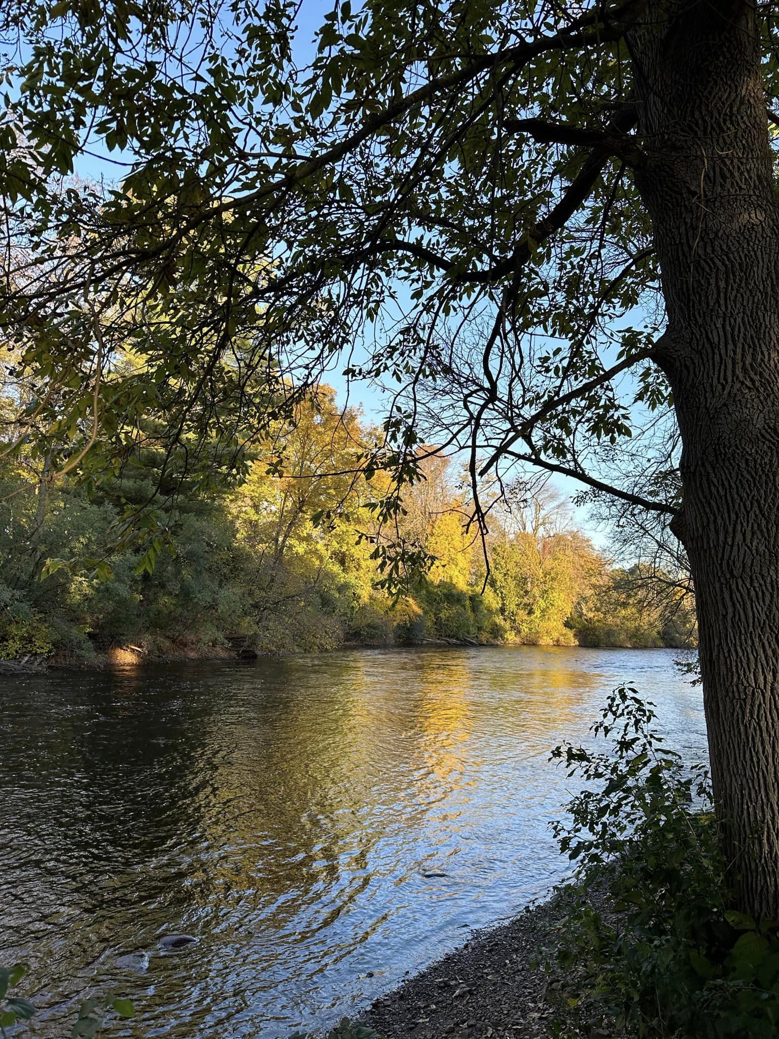27 Miles of Picturesque Multi-Purpose Trails - Saranac River Trail Greenway